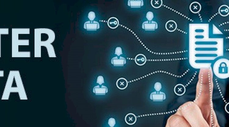 Director Master Data API Docs API - CompData - Corporate Information Blog